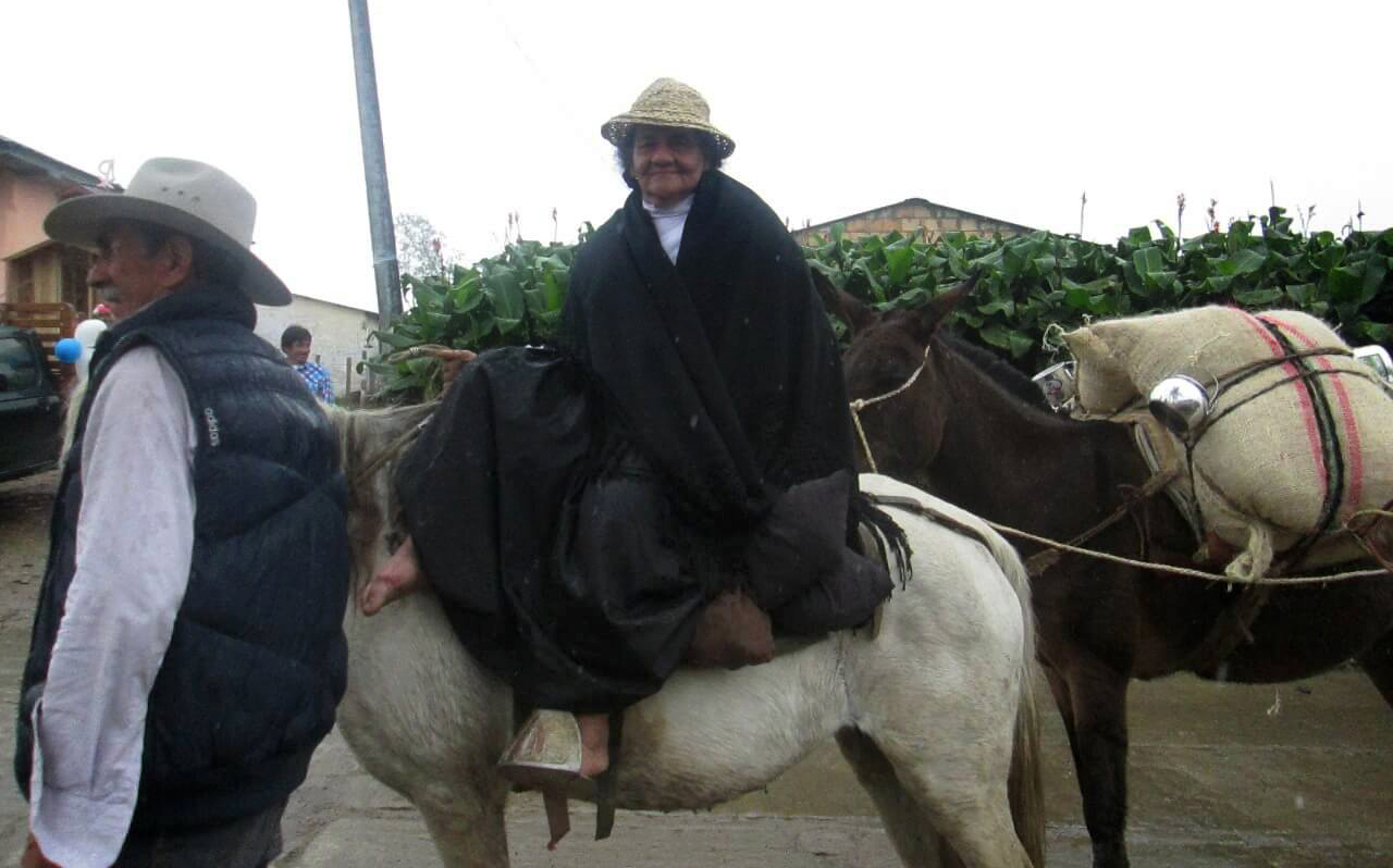 Arriar el ganado y el destino